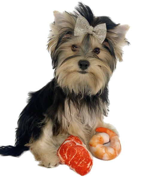 Pawpatu Meat Squeaky Plush Toy– Popatu